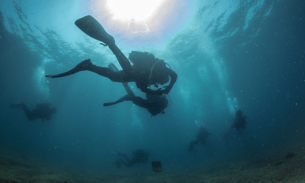 Miljenik djece privukao više od sto ronioca na podmorsko hodočašće ...