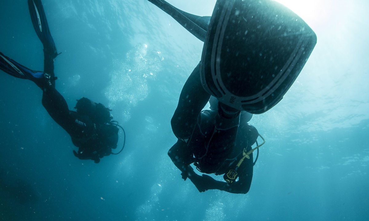 Miljenik djece privukao više od sto ronioca na podmorsko hodočašće ...