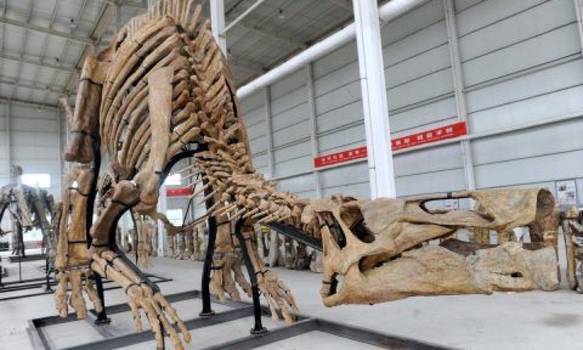 Otkriveni ostaci neobičnog grbavog dinosaura - tportal