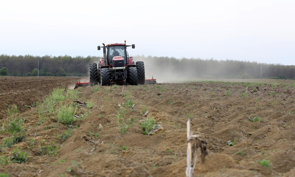 Ukrajina povećala površinu zasijanu proljetnim usjevima - tportal