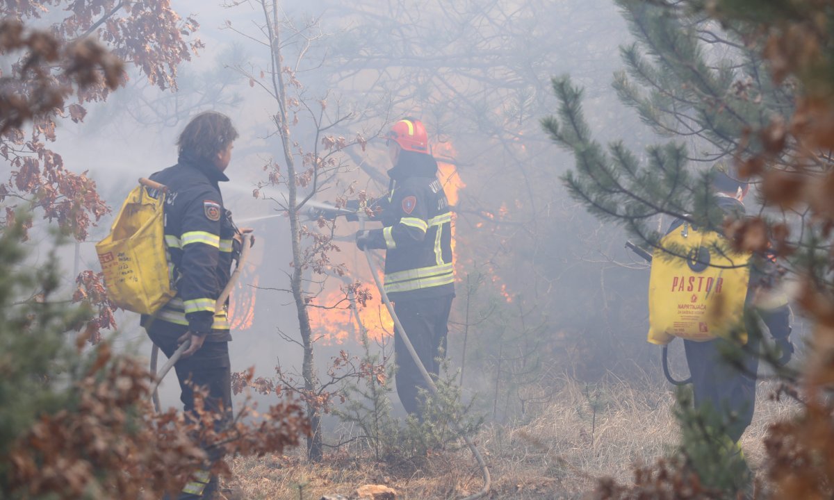 Požar na Ravči pod nadzorom, izgorjelo 4 hektara borove šume - tportal