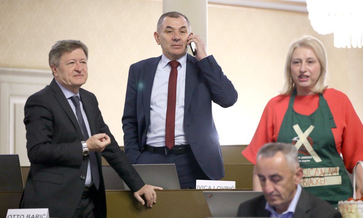 Koralet: O Jarunskom mostu se razmišlja. Barić: Od njega neće biti ...