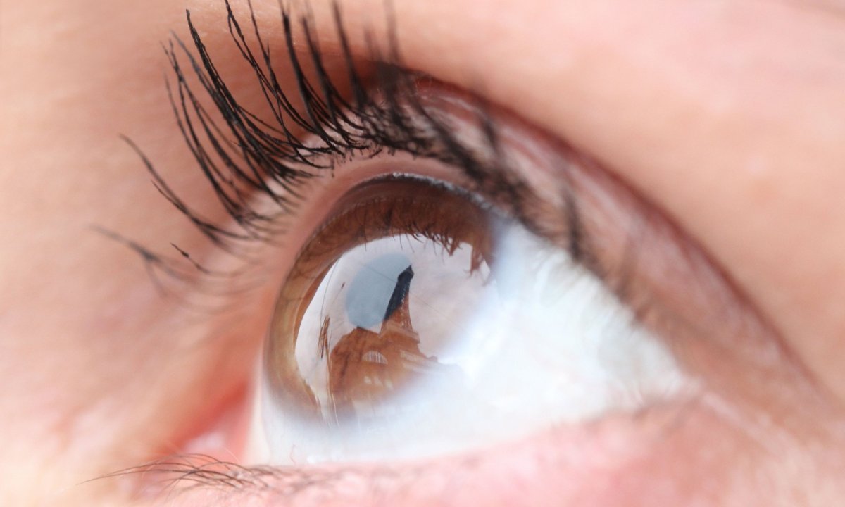 Znanstvenici su uspjeli rekonstruirati 3D prostoriju uz pomoć - odazira u oku - tportal