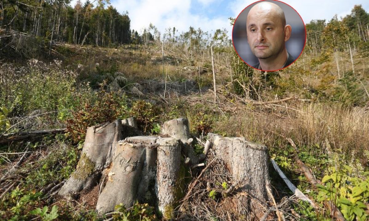 'Smrekov potkornjak ne pita za boju članske iskaznice ili stranku ...