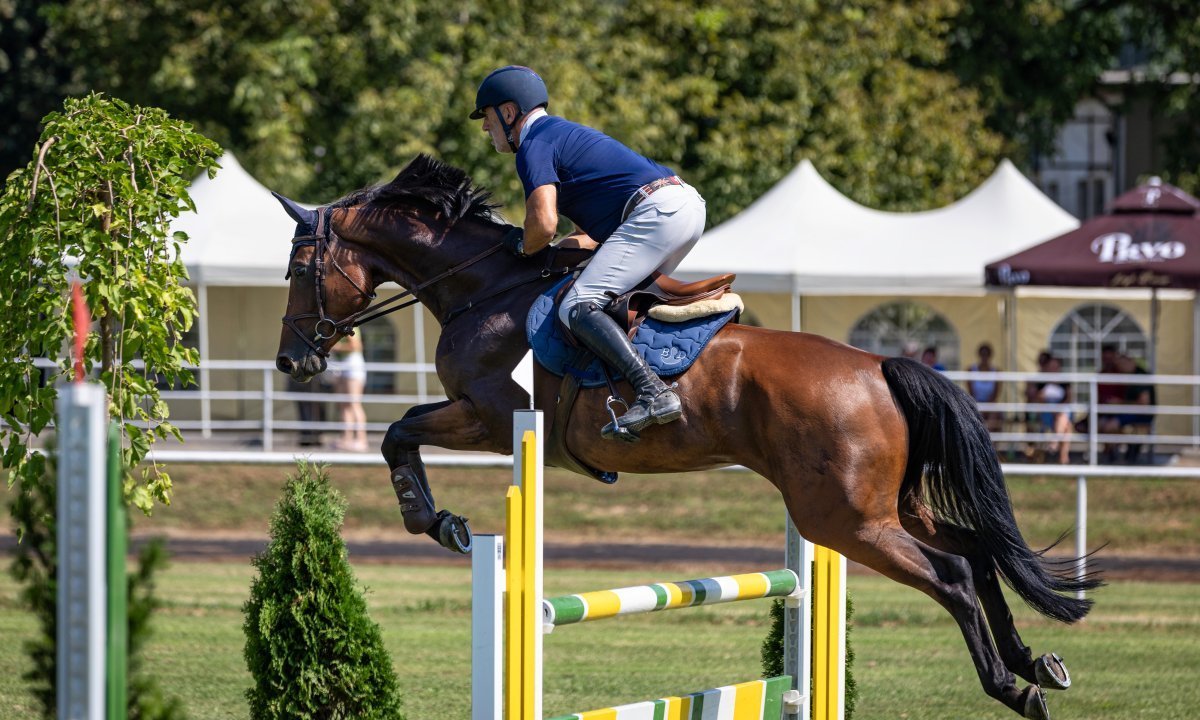 Največi i najprestižniji turnir u preponskom jahanju 'Jumping Samobor 2024' - tportal
