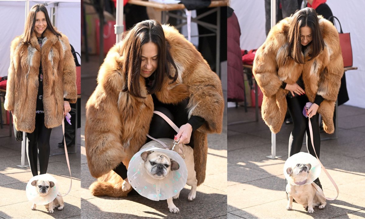 Na tramvajskoj stanici: Borni Kotromanić je netko ukrao psa, moli za ...