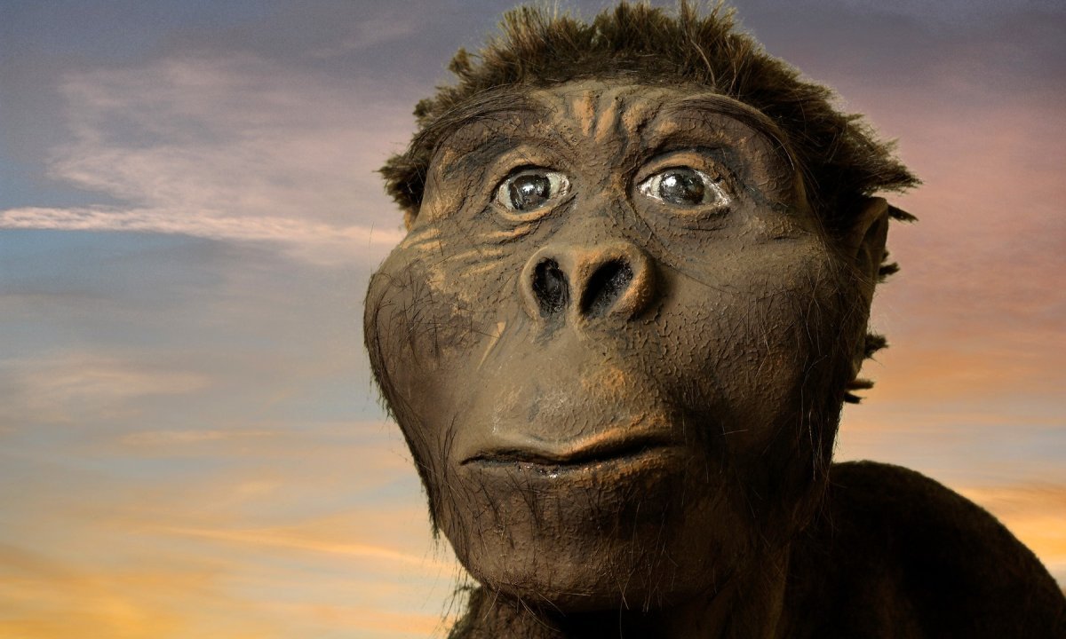 Prije 50 godina pronađena 'baka čovječanstva': Što nam je o porijeklu ...