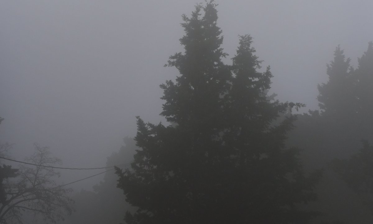 FOTO Nesvakidašnja pojava u Dubrovniku. Ovo se ne događa često - tportal