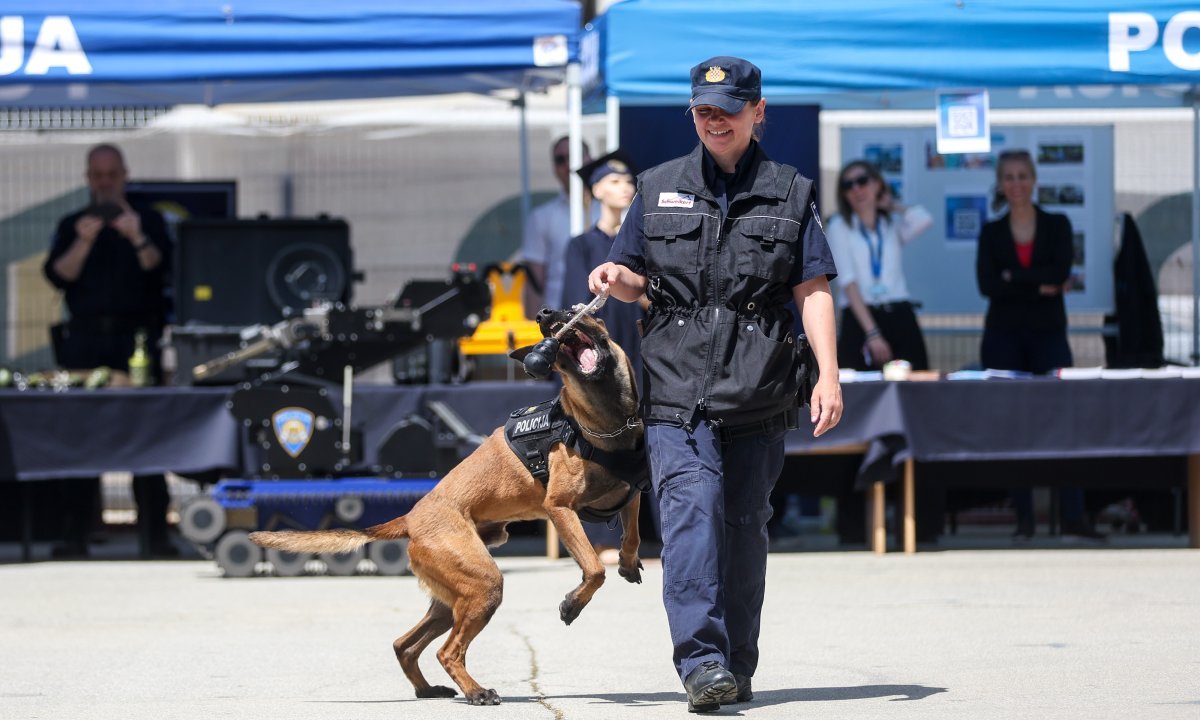 Robot-pas, Cro cop, sukob policije i navijača: Pogledajte što su sve ...