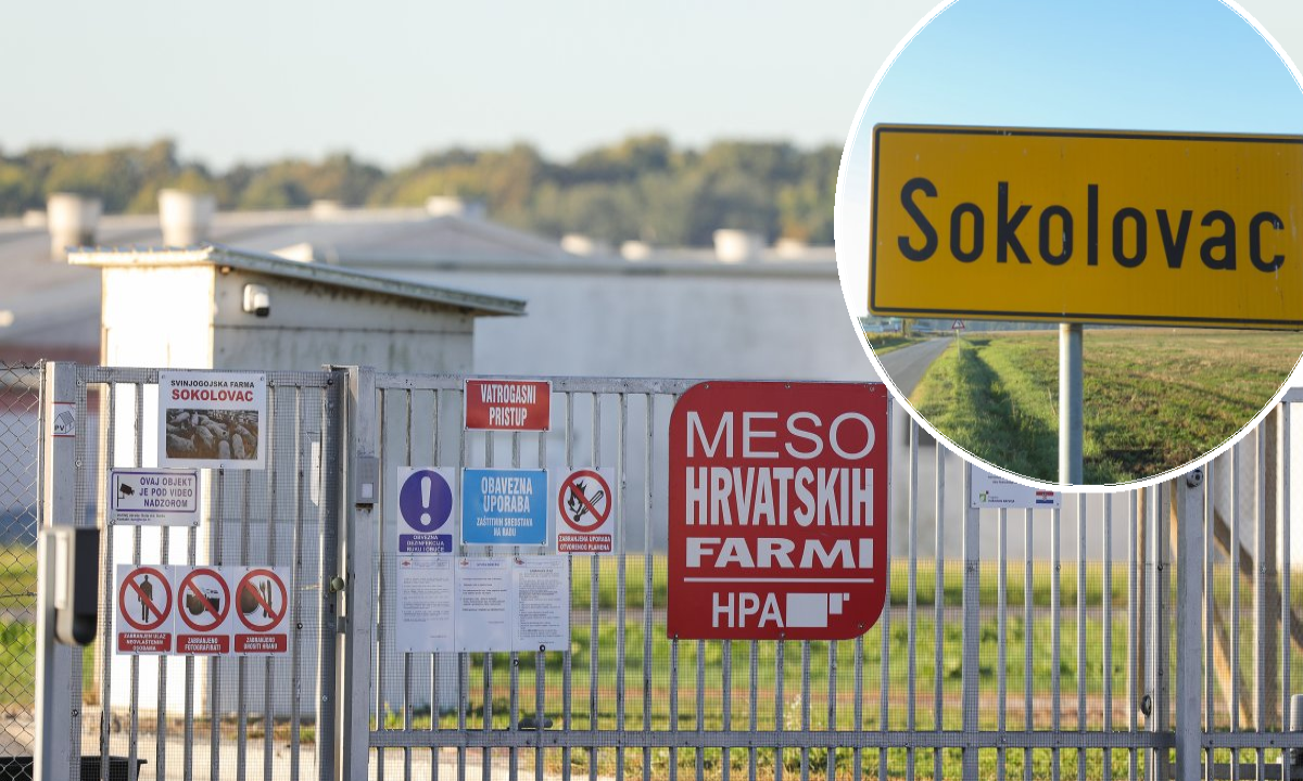 Zbog virusa svinjske kuge na farmi Sokolovac uvedeni dodatni bio ...