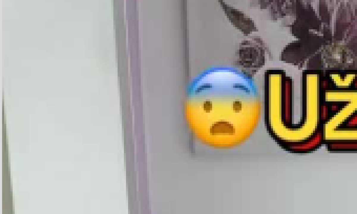 VIDEO Iznajmljivačica ušla u apartman i ostala bez riječi. Pogledajte ...