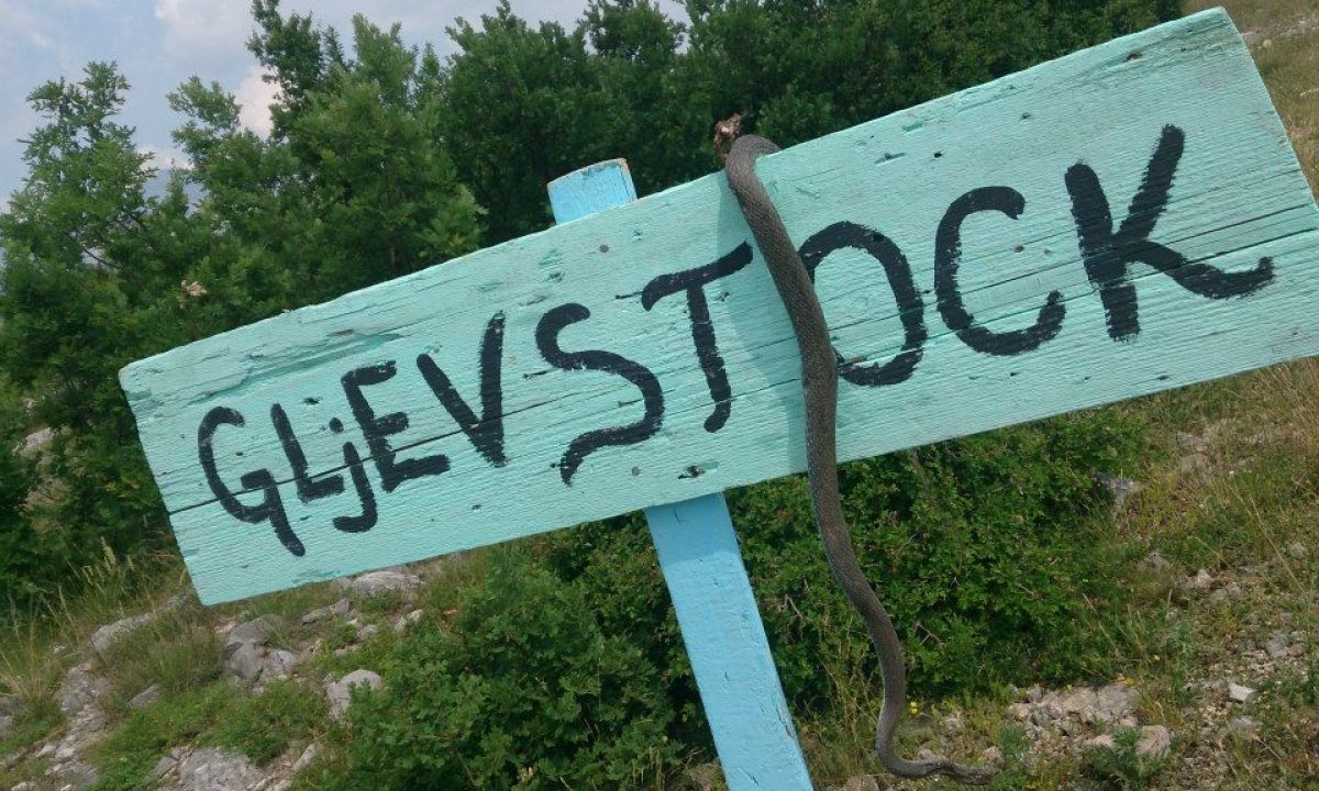 Gljevstock - festival ljubavi i veselja - tportal