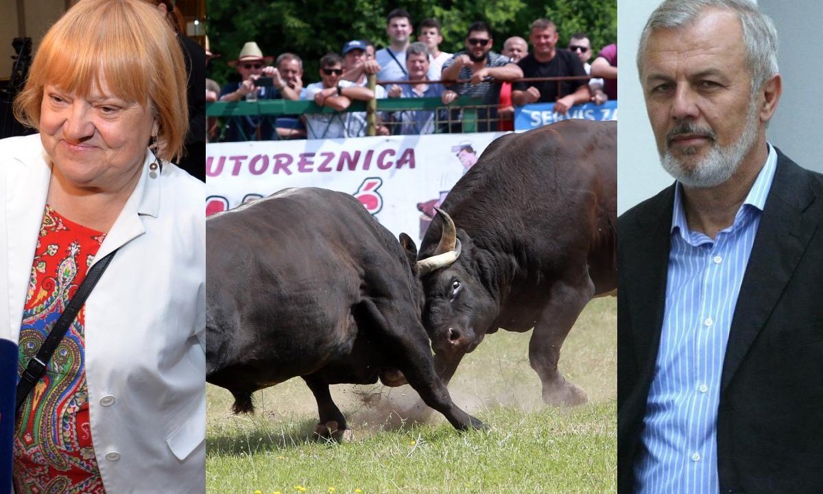 Mrak Taritaš zabranila bi borbe bikova, Sanader zapavio: Ubijete li ...