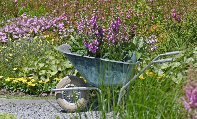 Trajnice su uvijek dobar odabir za vrt, a ove osvajaju na prvi pogled - tportal