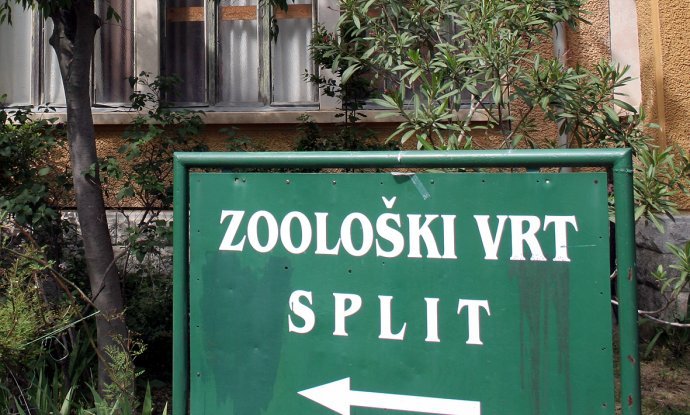 Splitske životinje dobro podnose hladnoću - tportal