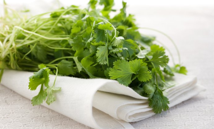 Jesu li ovo dovoljni dobri razlozi da probate korijander? - tportal