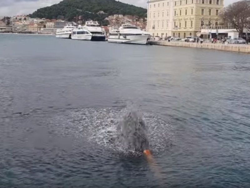 [VIDEO] Splićane šokirao prizor na Rivi; u moru osvanula cijev iz koje ...