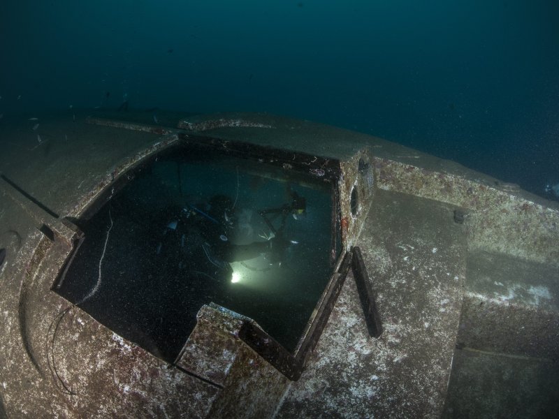 Miljenik djece privukao više od sto ronioca na podmorsko hodočašće ...