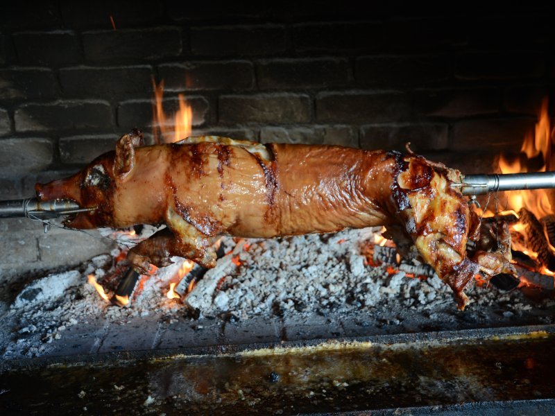 Odojak skuplji i od janjetine - tportal