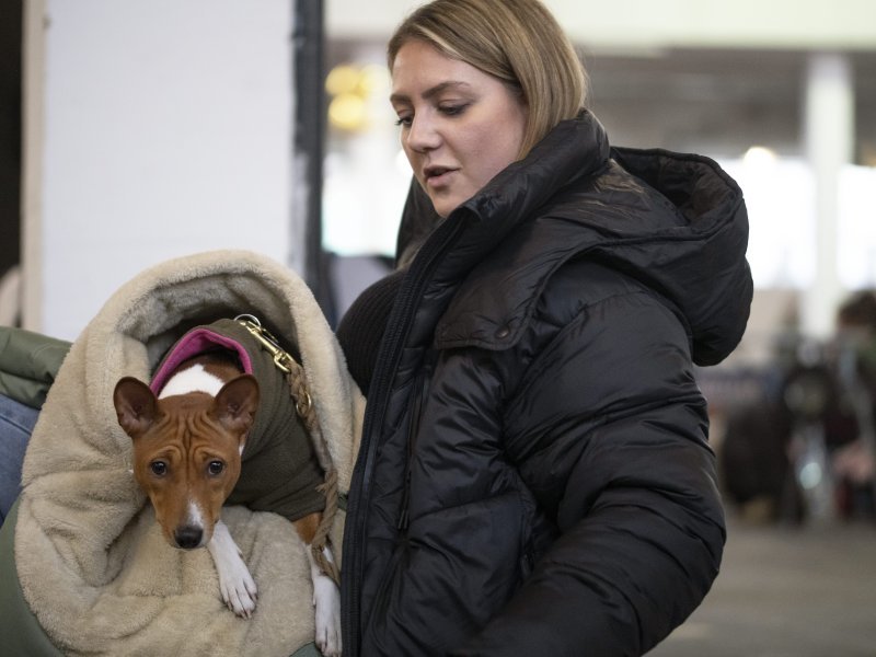 Ovo su psi koji su se borili za titulu najljepšeg; koji je vaš favorit ...