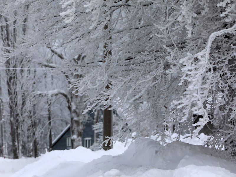 Olimpijski centar trune: Pogledajte kako na vrhuncu zime izgleda ...