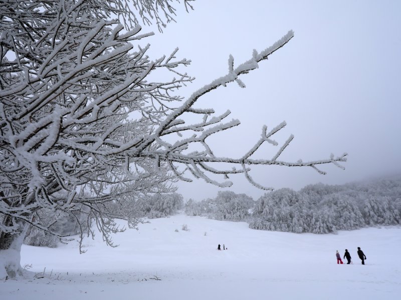 Olimpijski centar trune: Pogledajte kako na vrhuncu zime izgleda ...