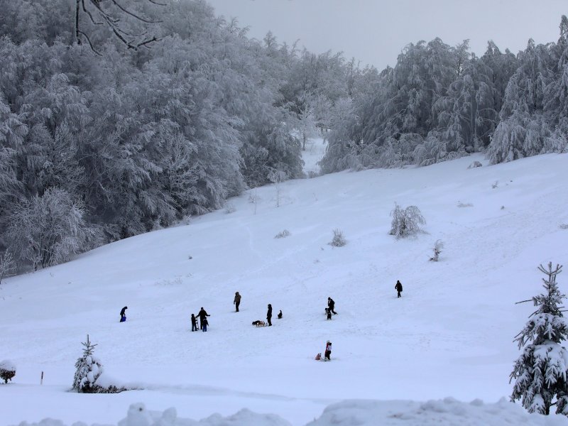 Olimpijski centar trune: Pogledajte kako na vrhuncu zime izgleda ...