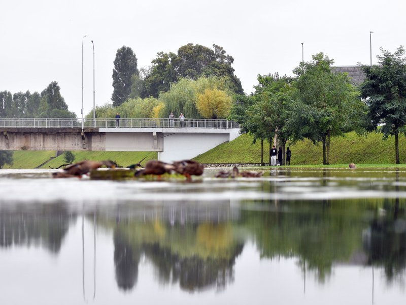 Rijeka Mura izlila se na šetnicu u Murskom Središću - tportal