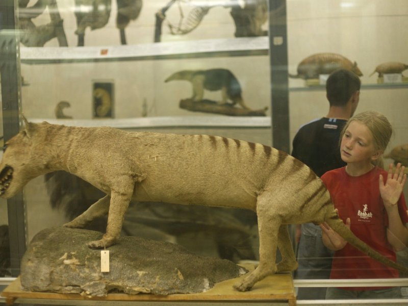 Znanstvenici prvi put izdvojili RNK izumrle životinjske vrste - tportal