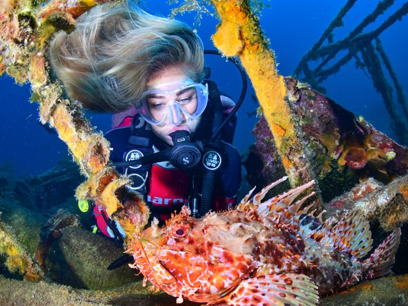 Pogledajte 100 najboljih fotografija agencije Cropix u 2023. - tportal