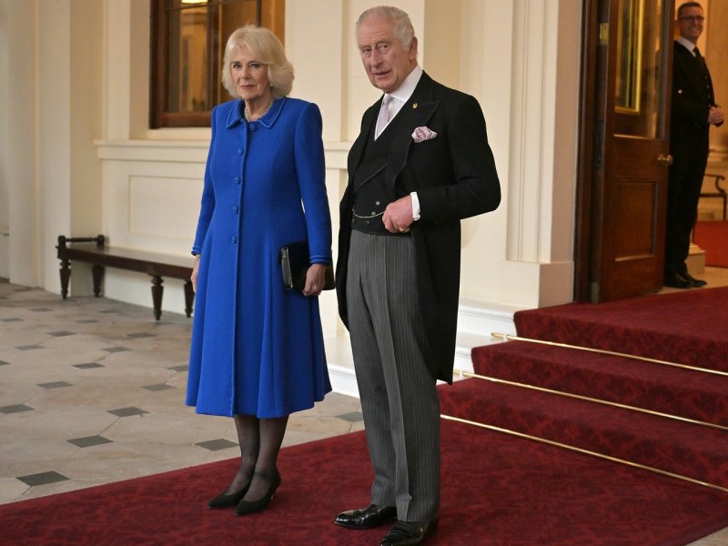 Camillin izraz lica otkrio stanje kralja Charlesa nakon operacije - tportal