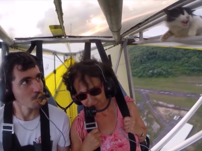 Vinuli se u nebo pa im po lijevom krilu došetala mačka - tportal