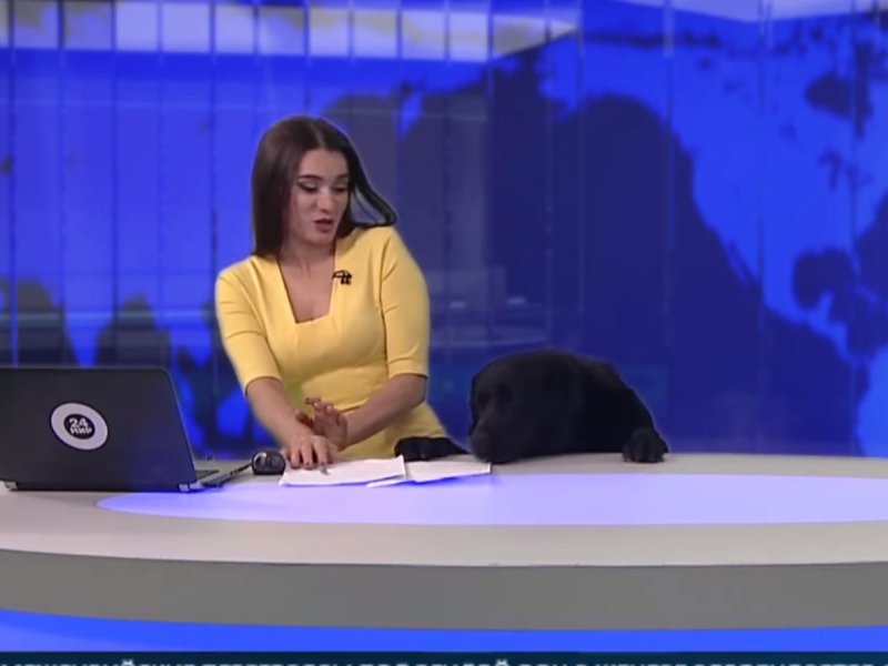 Zaboga, što je to toliko preplašilo voditeljicu? - tportal