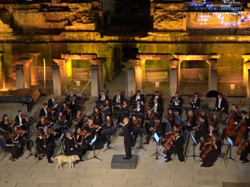 Slatki pas ima vrlo profinjen ukus u glazbi - tportal