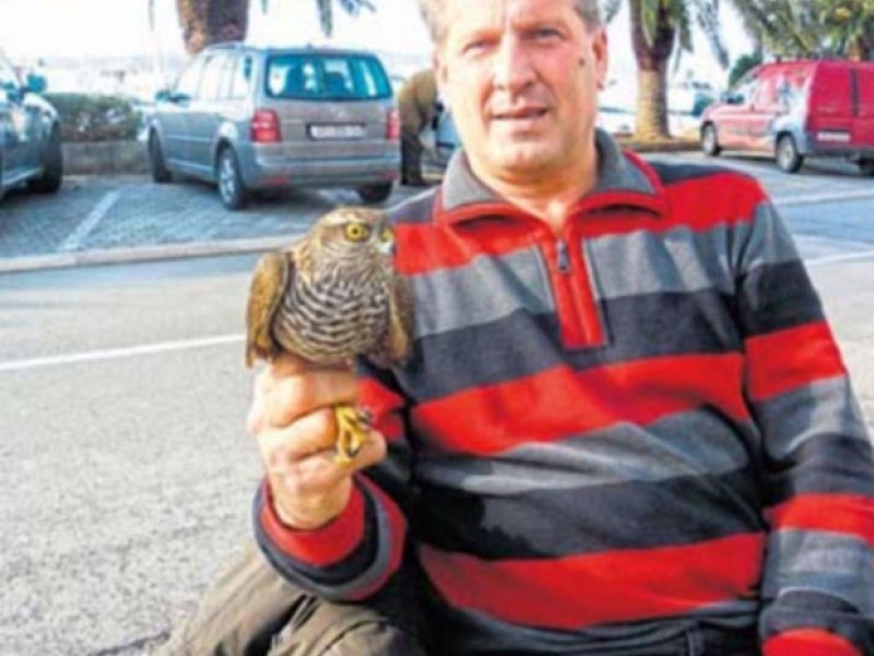 Uhvatio sivog sokola golim rukama u letu - tportal