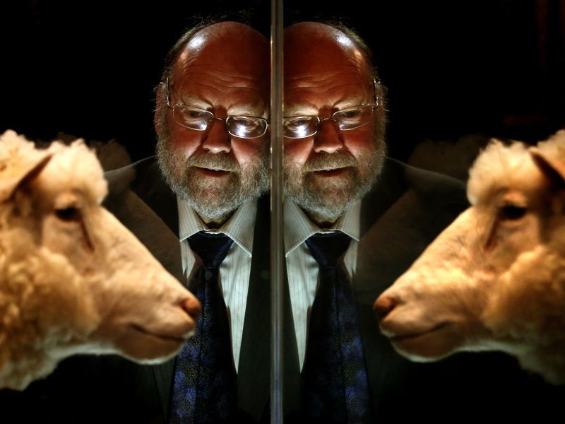 Nakon gotovo 20 godina znamo da smrt ovce Dolly nije povezana s ...