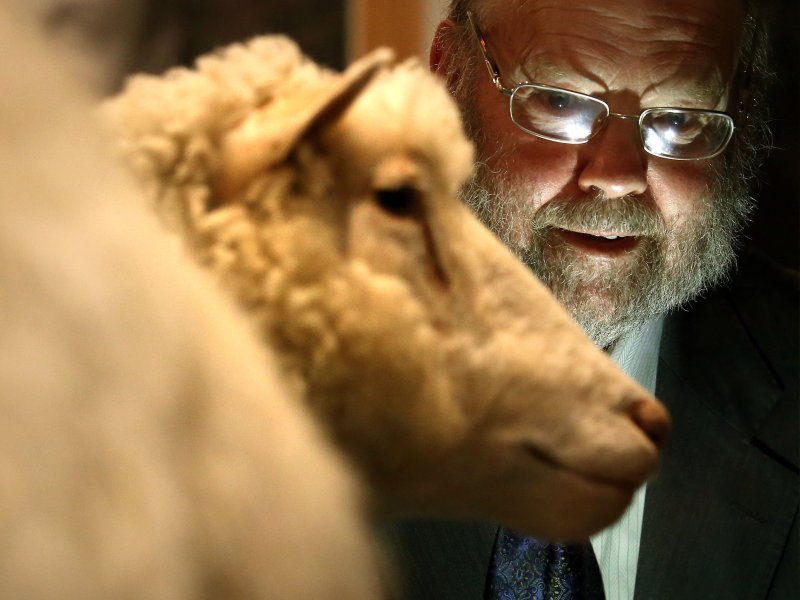 Nakon gotovo 20 godina znamo da smrt ovce Dolly nije povezana s ...