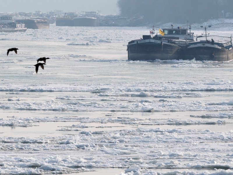 Dunav okovan ledom, u pomoć nam stižu mađarski ledolomci - tportal