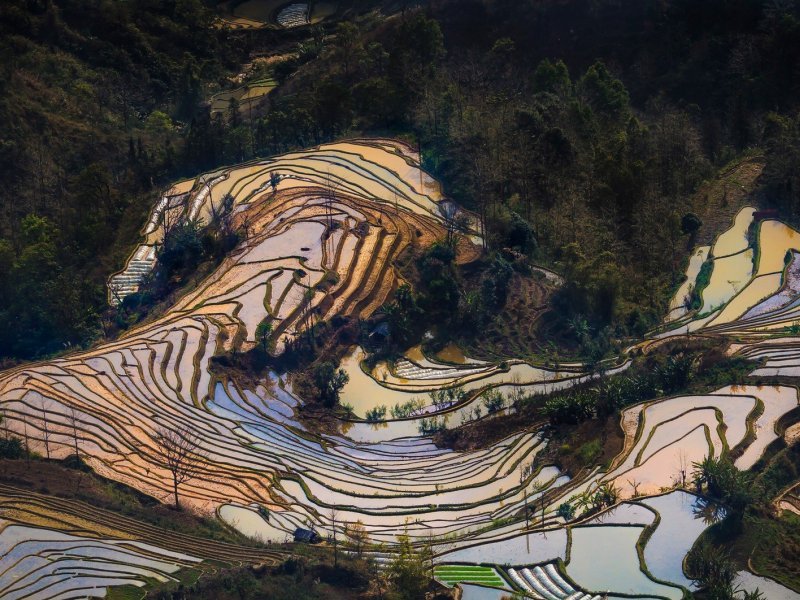 [FOTO] Zalazak sunca na rižinim poljima u Kini neobično je lijep prizor ...