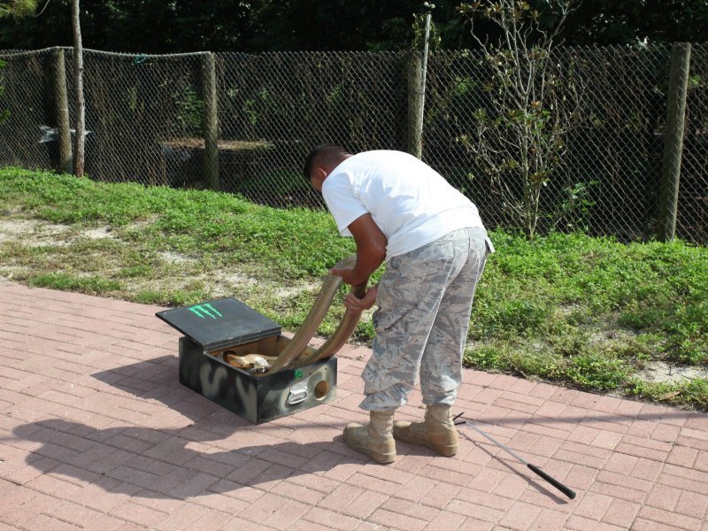 Upoznajte čovjeka koji svoj dom dijeli sa 60 otrovnica - tportal