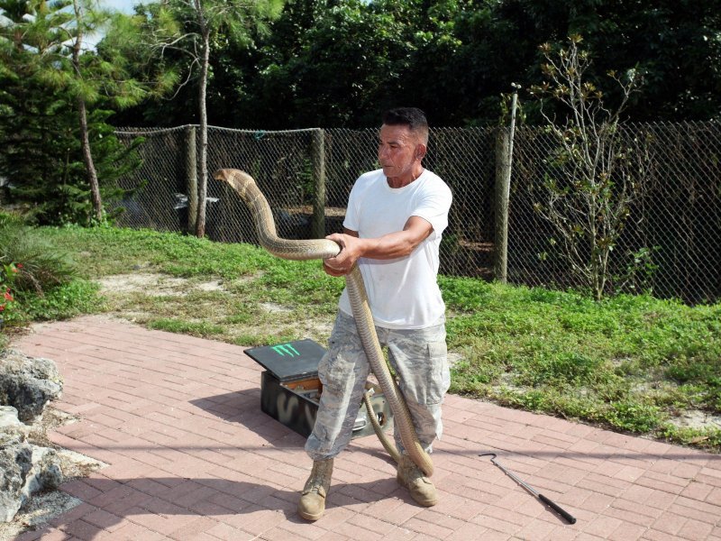 Upoznajte čovjeka koji svoj dom dijeli sa 60 otrovnica - tportal