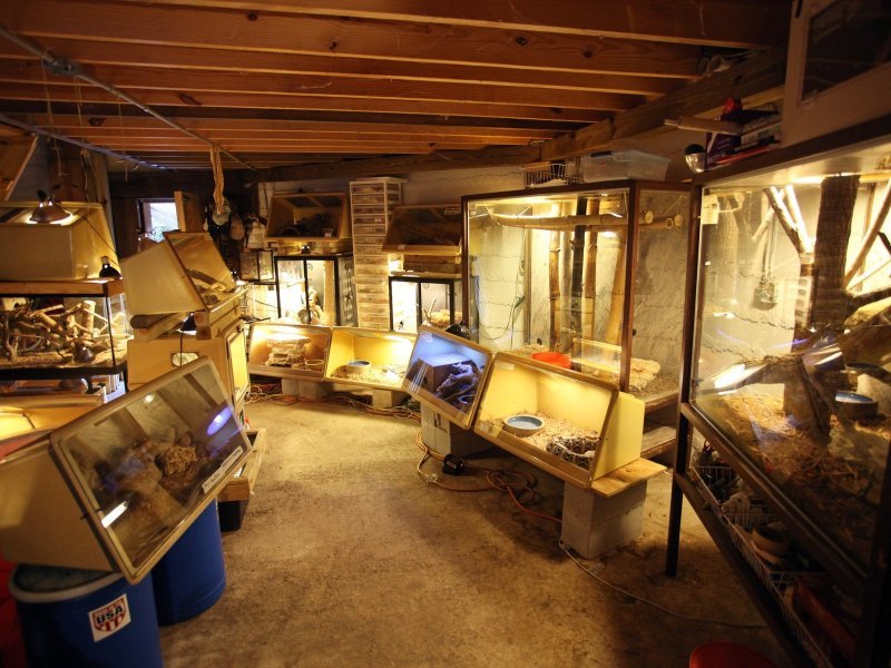 Upoznajte čovjeka koji svoj dom dijeli sa 60 otrovnica - tportal