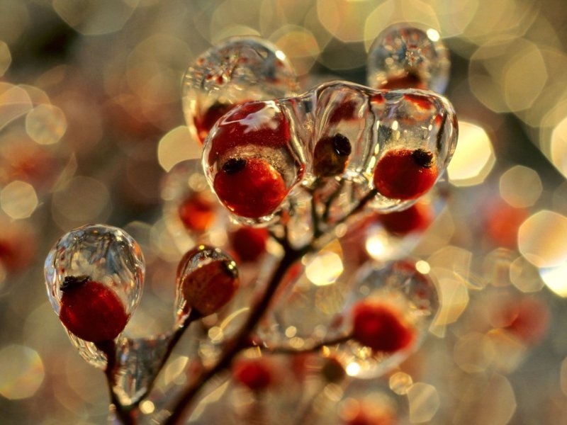 Priroda se po zimi pretvara u nadahnutu umjetnicu - tportal