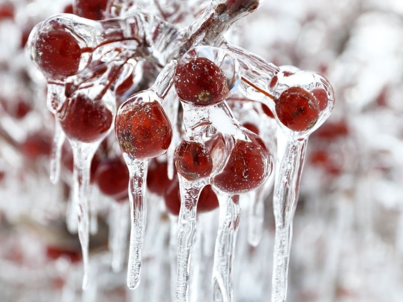 Priroda se po zimi pretvara u nadahnutu umjetnicu - tportal