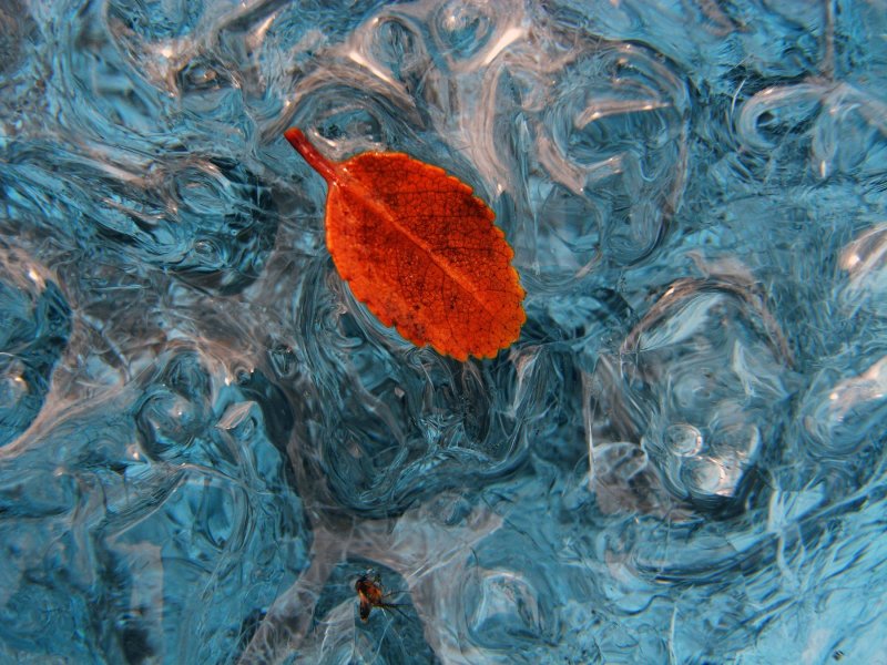 Priroda se po zimi pretvara u nadahnutu umjetnicu - tportal