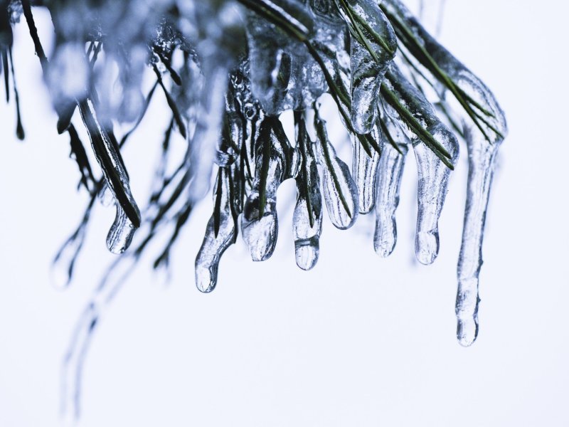 Priroda se po zimi pretvara u nadahnutu umjetnicu - tportal