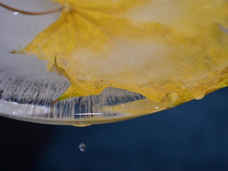 Priroda se po zimi pretvara u nadahnutu umjetnicu - tportal