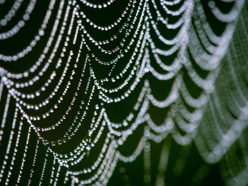 Priroda se po zimi pretvara u nadahnutu umjetnicu - tportal