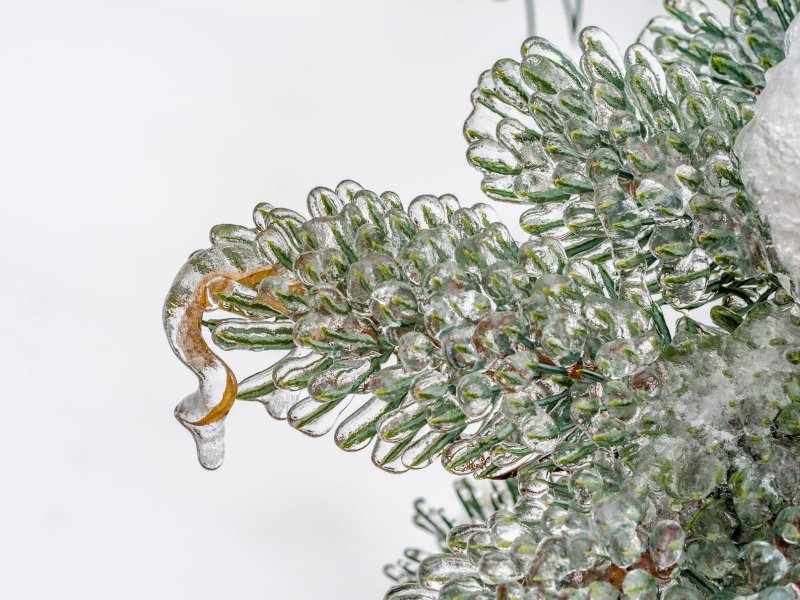 Priroda se po zimi pretvara u nadahnutu umjetnicu - tportal