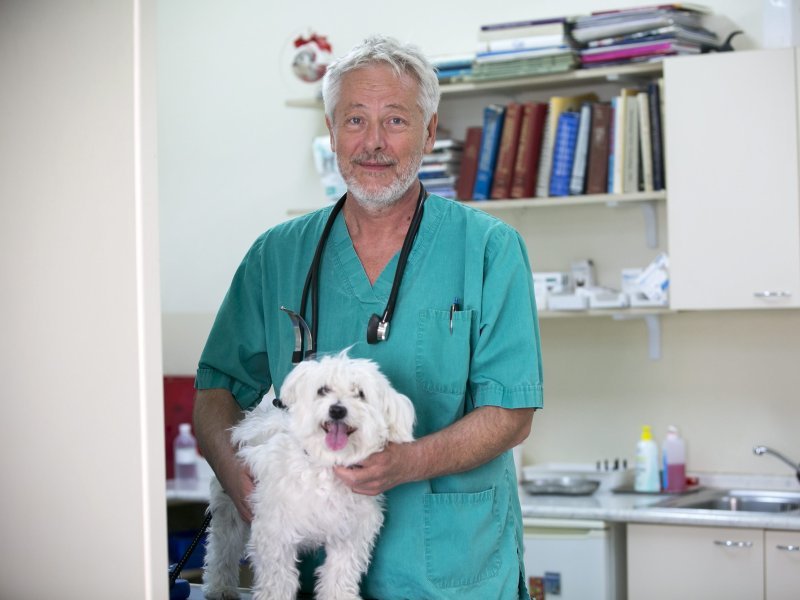 Pitali smo poznatoga veterinara koji su psi opasni, mogu li se podizati ...